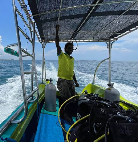 Our Team - Divinguru