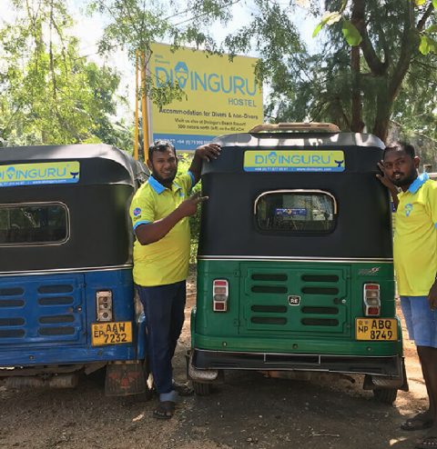 Our Team - Divinguru